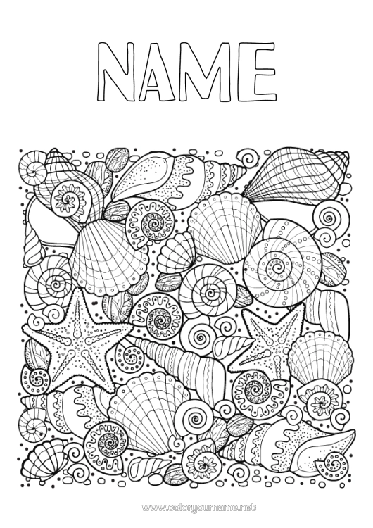 Seashells and Starfish - Customisable Colouring