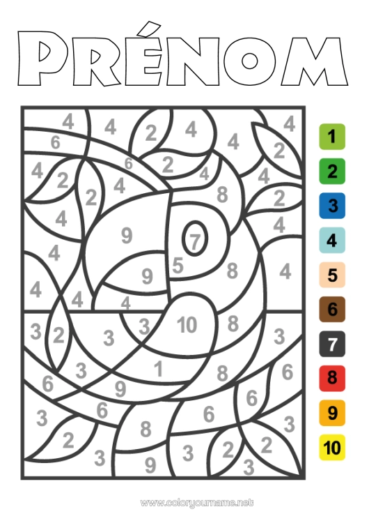 Coloriage Magique Perroquet Personnaliser Chiffres De 1 10