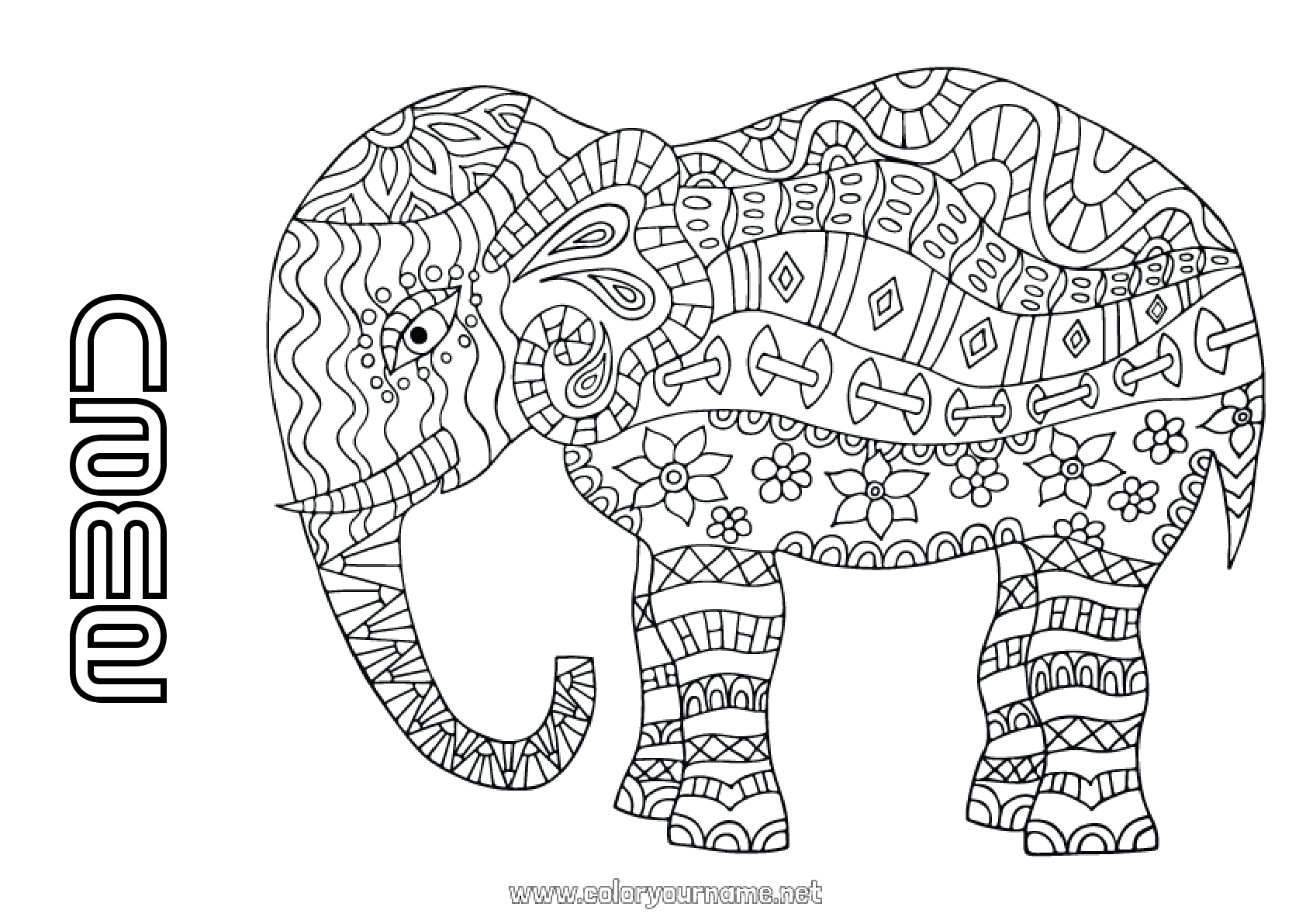 Detailed Elephant Coloring Pages