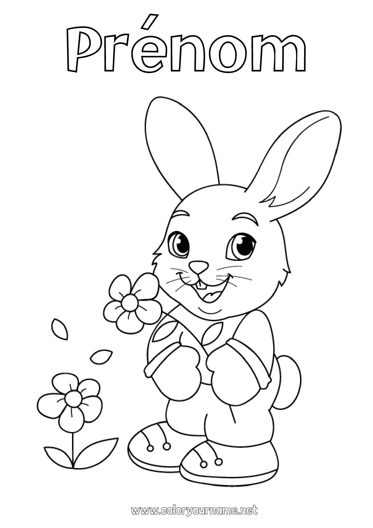 Coloriage n°1236 - Fleurs Printemps Lapin