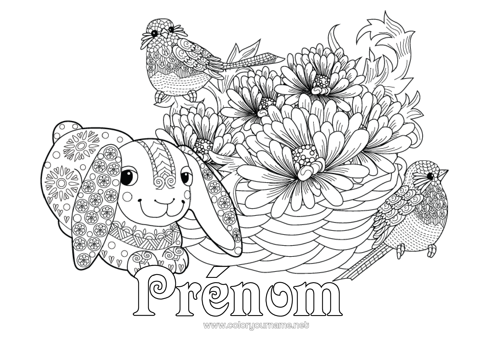 Coloriage n°1308 - Printemps Animal