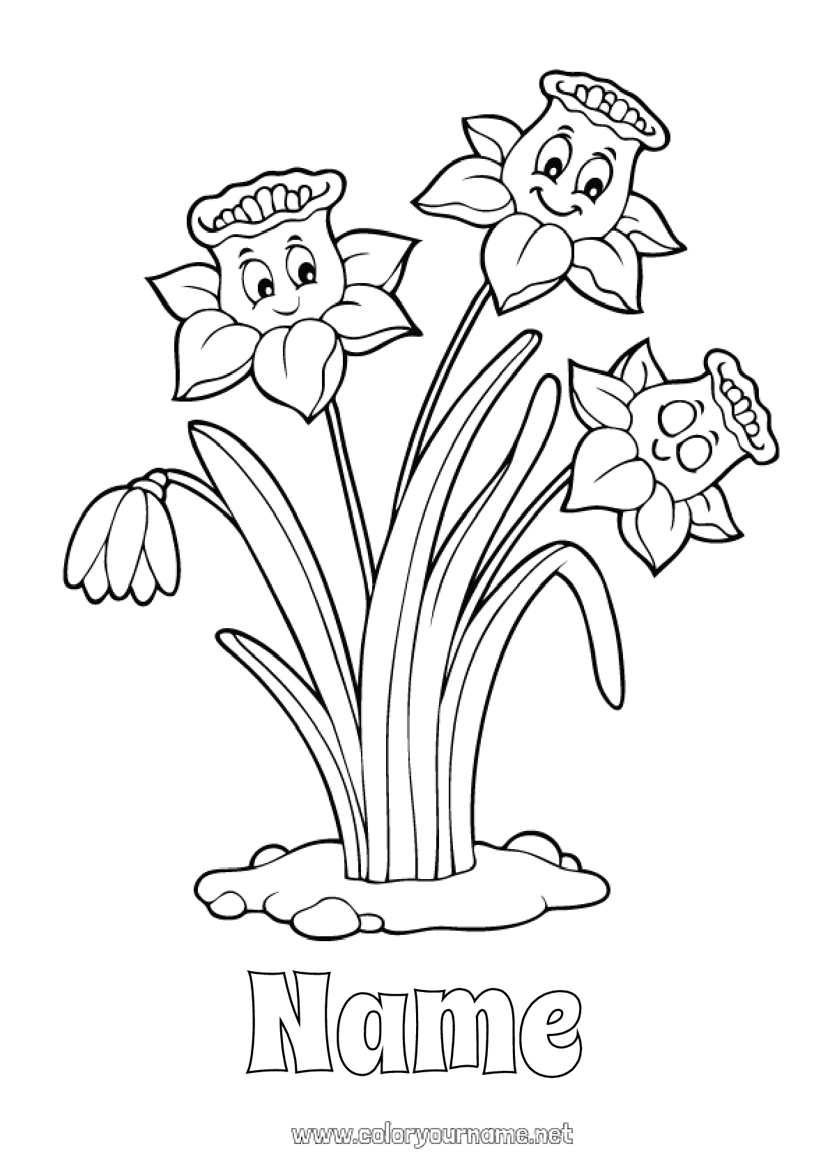 Daffodil Coloring Pages