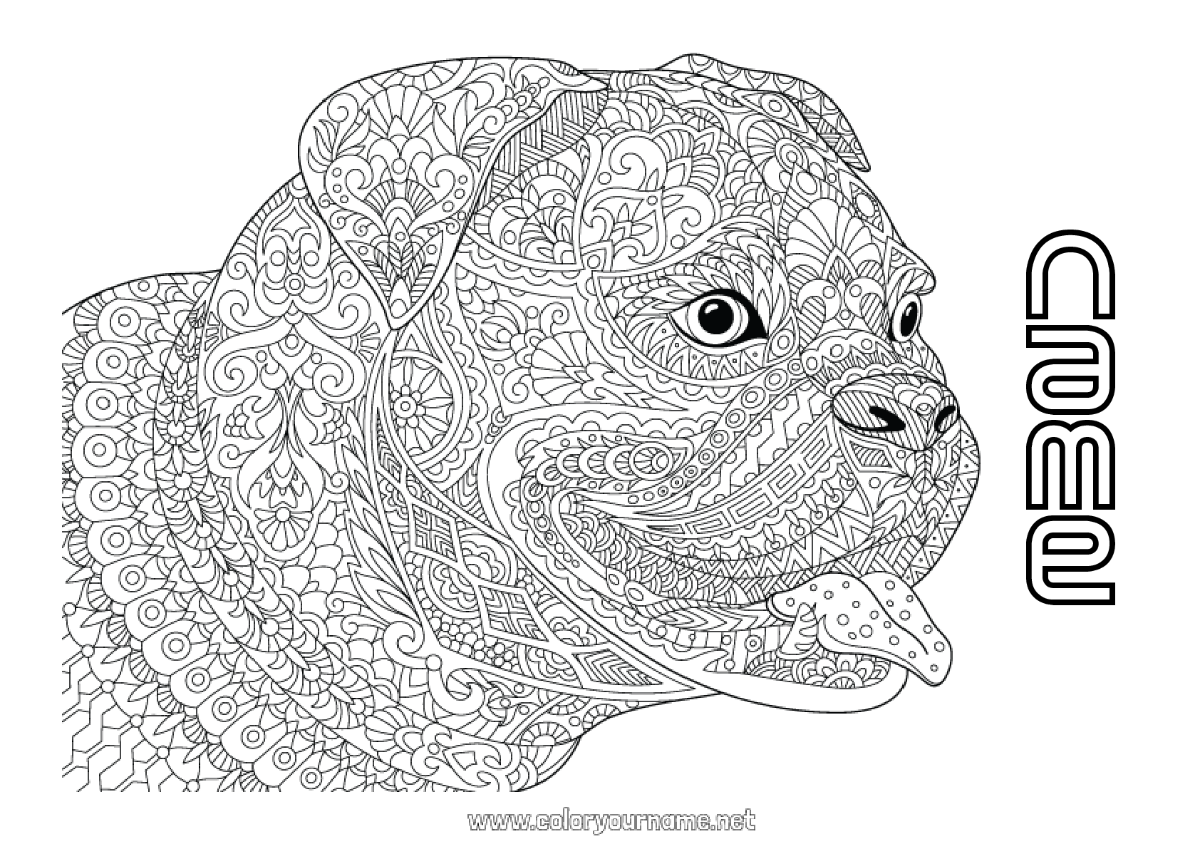 Bulldogs Coloring Pages