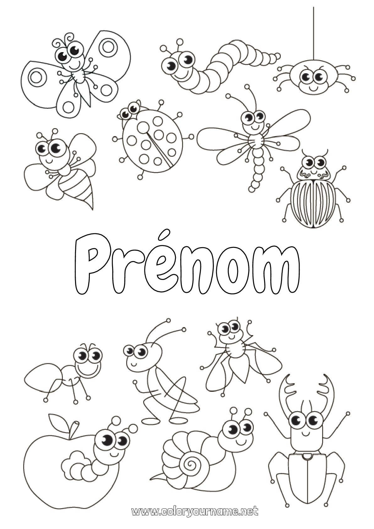 Coloriage n°1727 - Animal Insectes