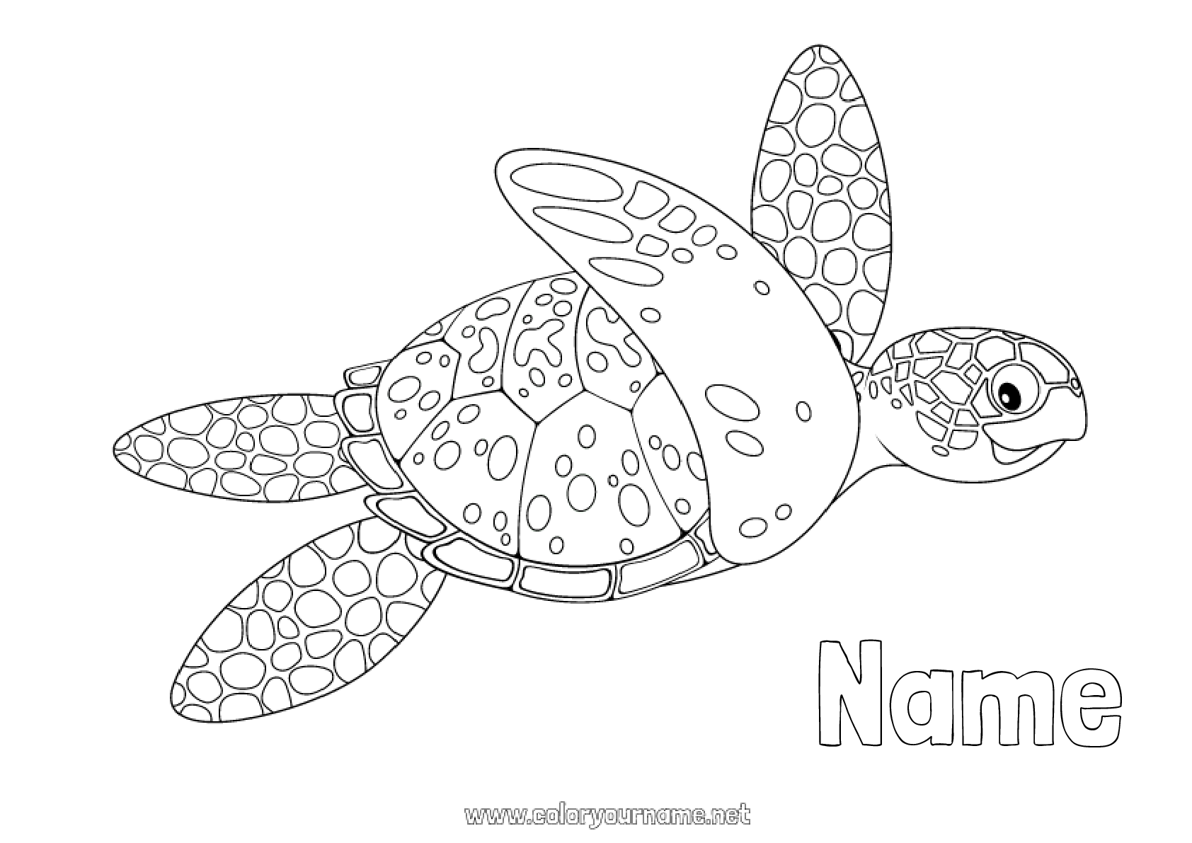 Coloring page No.1774 - Turtle Summer Sea