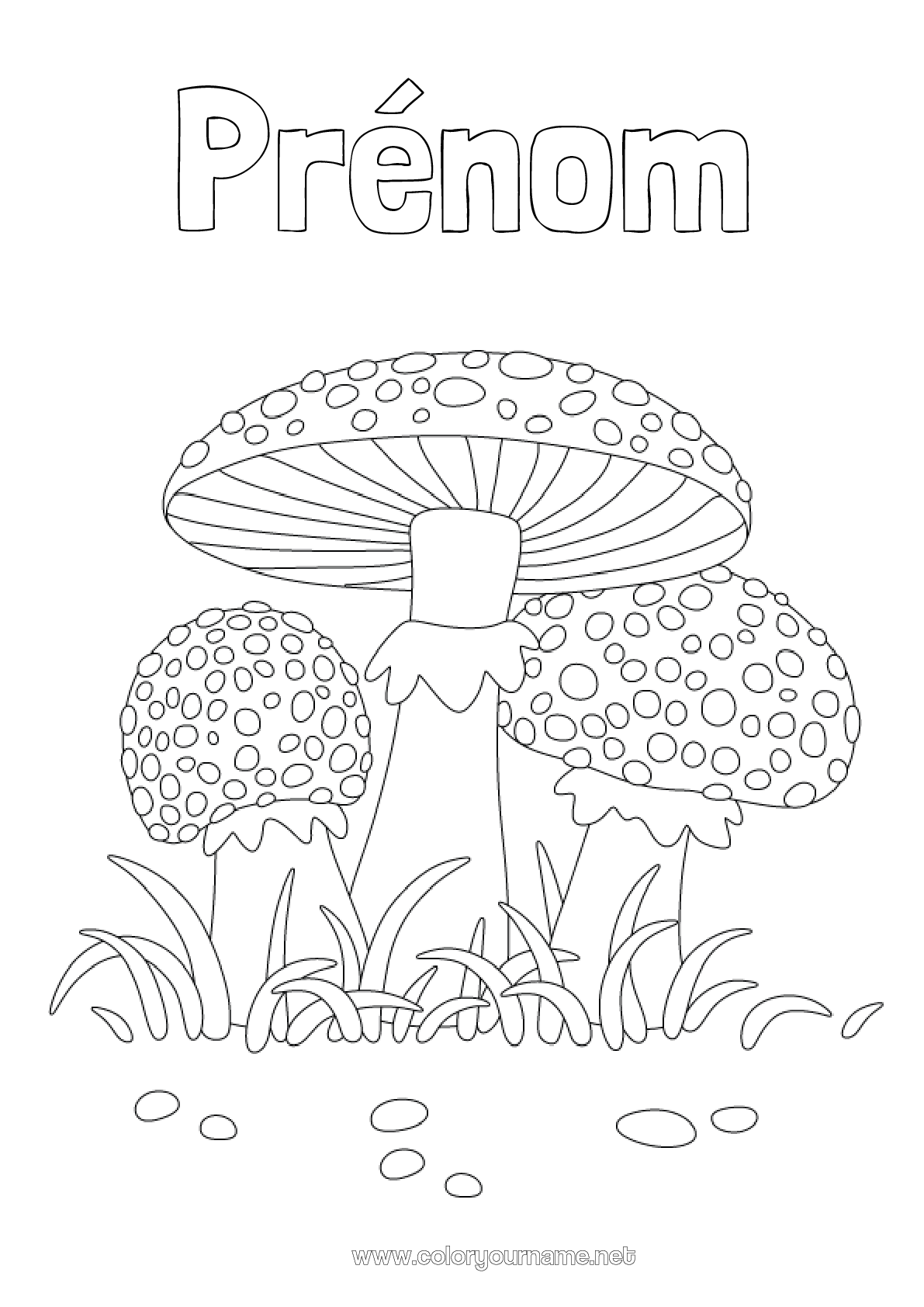 Coloriage n°1910 - Automne Champignon