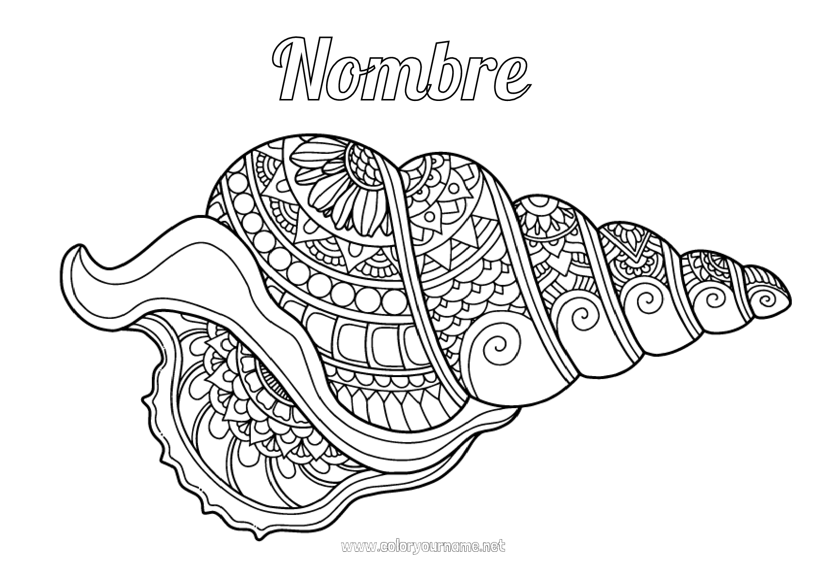 Nº de colorear 2055 - Mandala Animales Conchas marinas