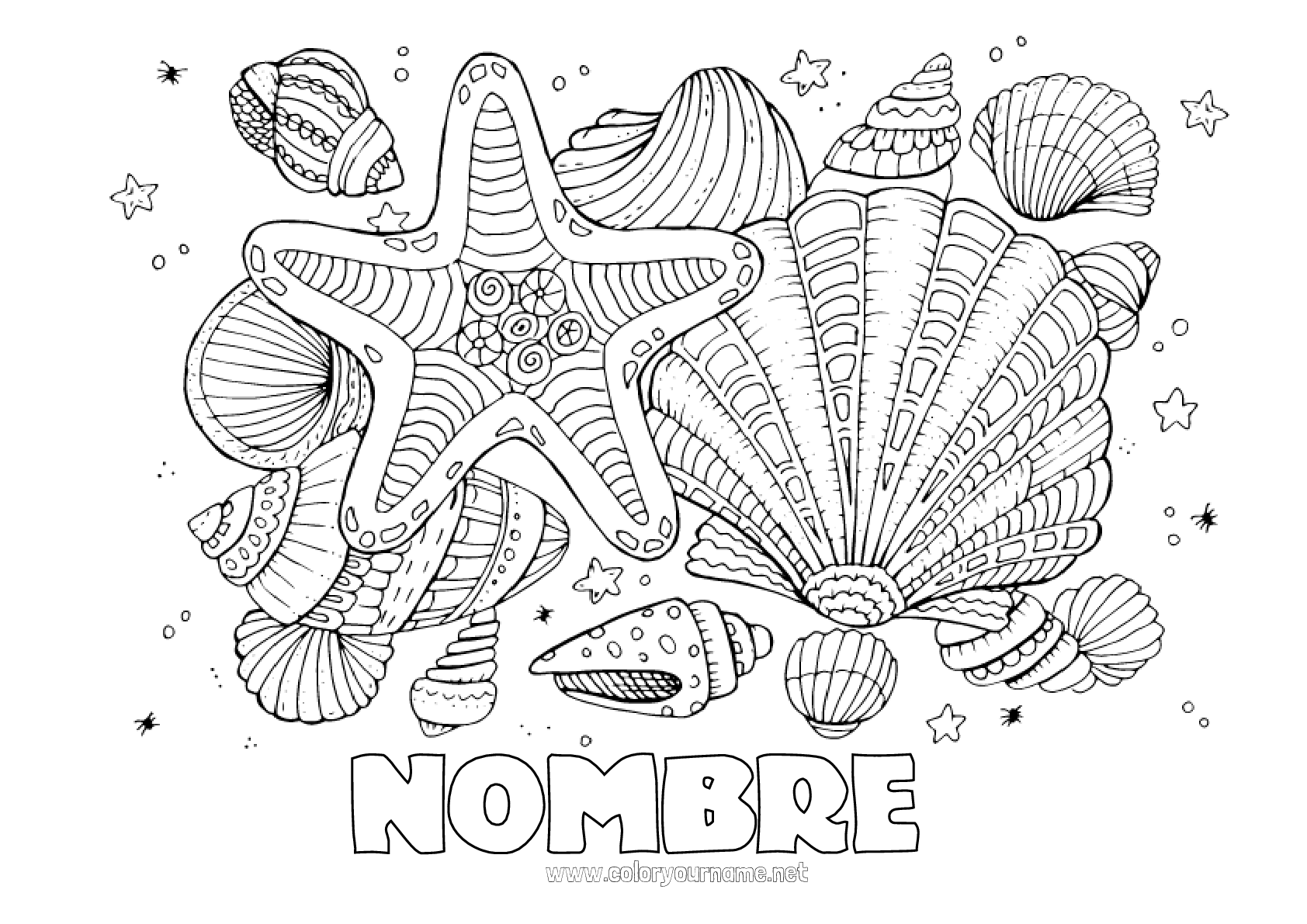 Conchas Para Colorear