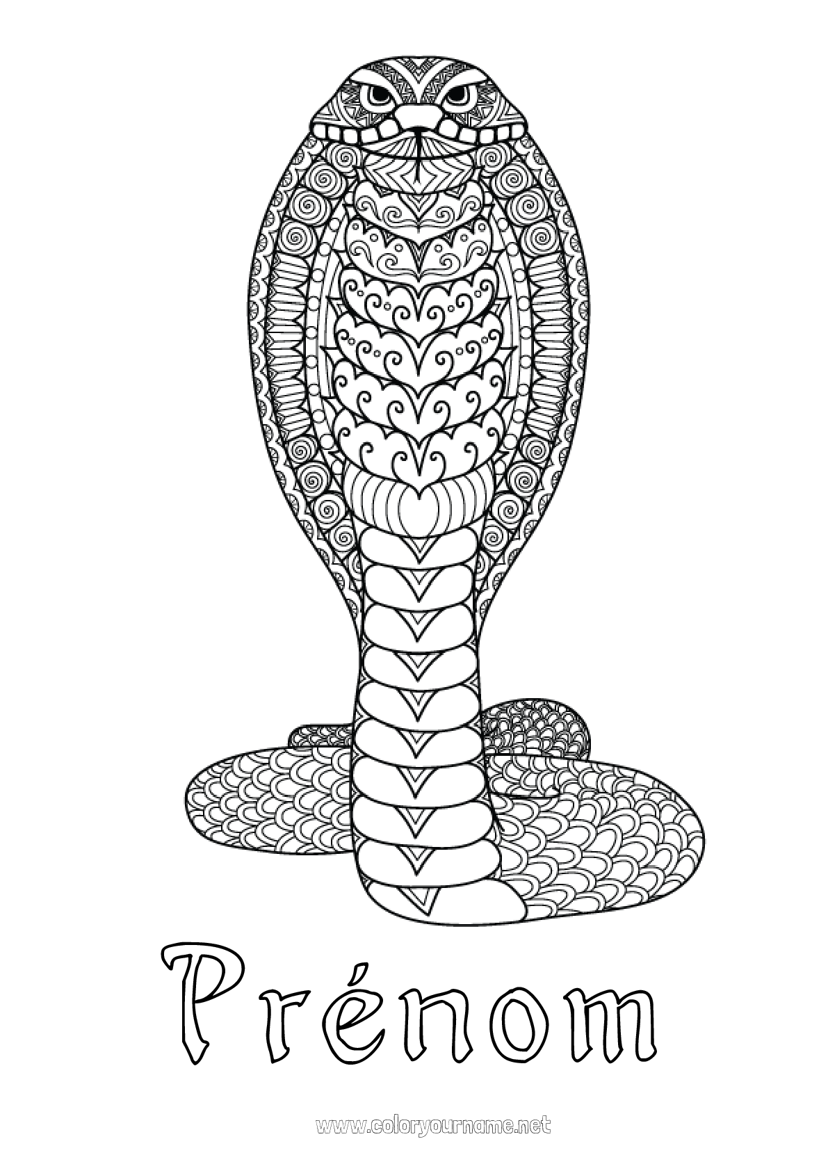 Coloriage n°2370 - Mandala Animal Serpent