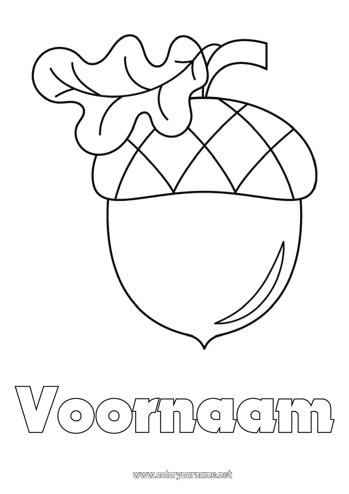 Kleurplaat nr.2745 - Eenvoudige kleurplaten Eikel