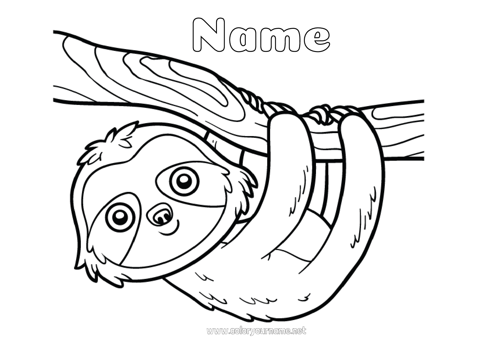 Coloring page No.2807 - Animal Forest animals Sloth