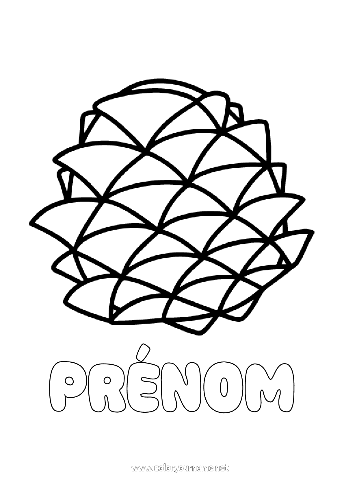 Coloriage n°2872 - Coloriages faciles Pomme de pin