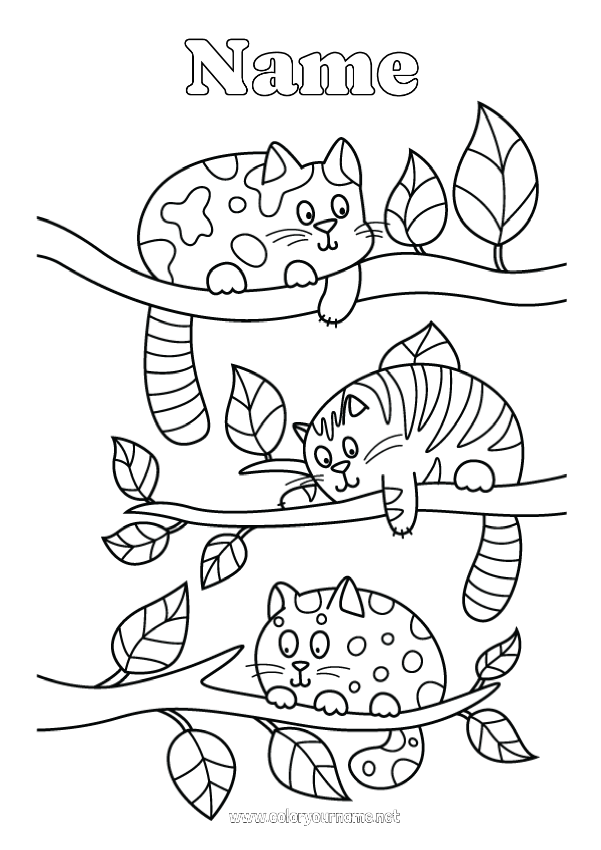 Coloring page No.2895 - Cat Animal Intermediate coloring pages