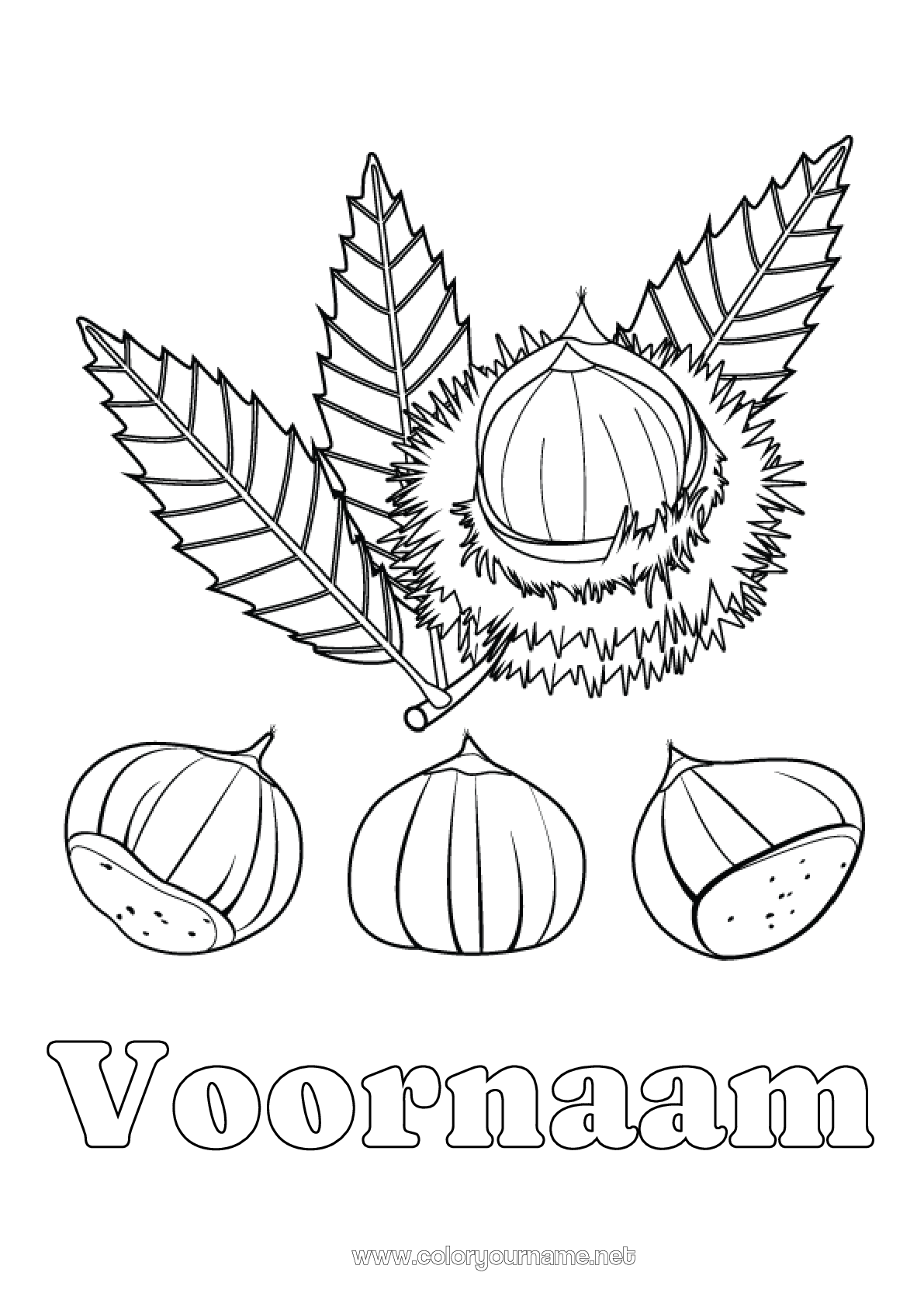 Kleurplaat nr.3015 - Boom Kastanje