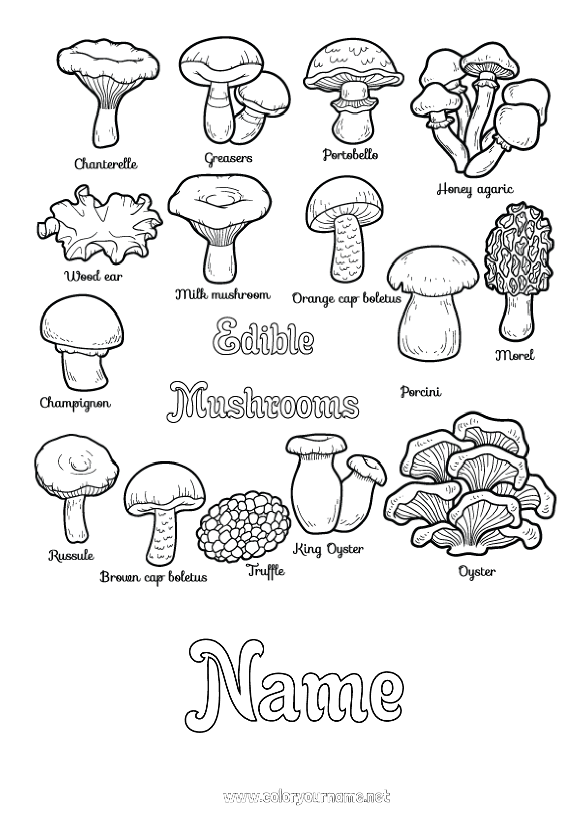 Coloring page No.3105 - Children's activities Mushroom