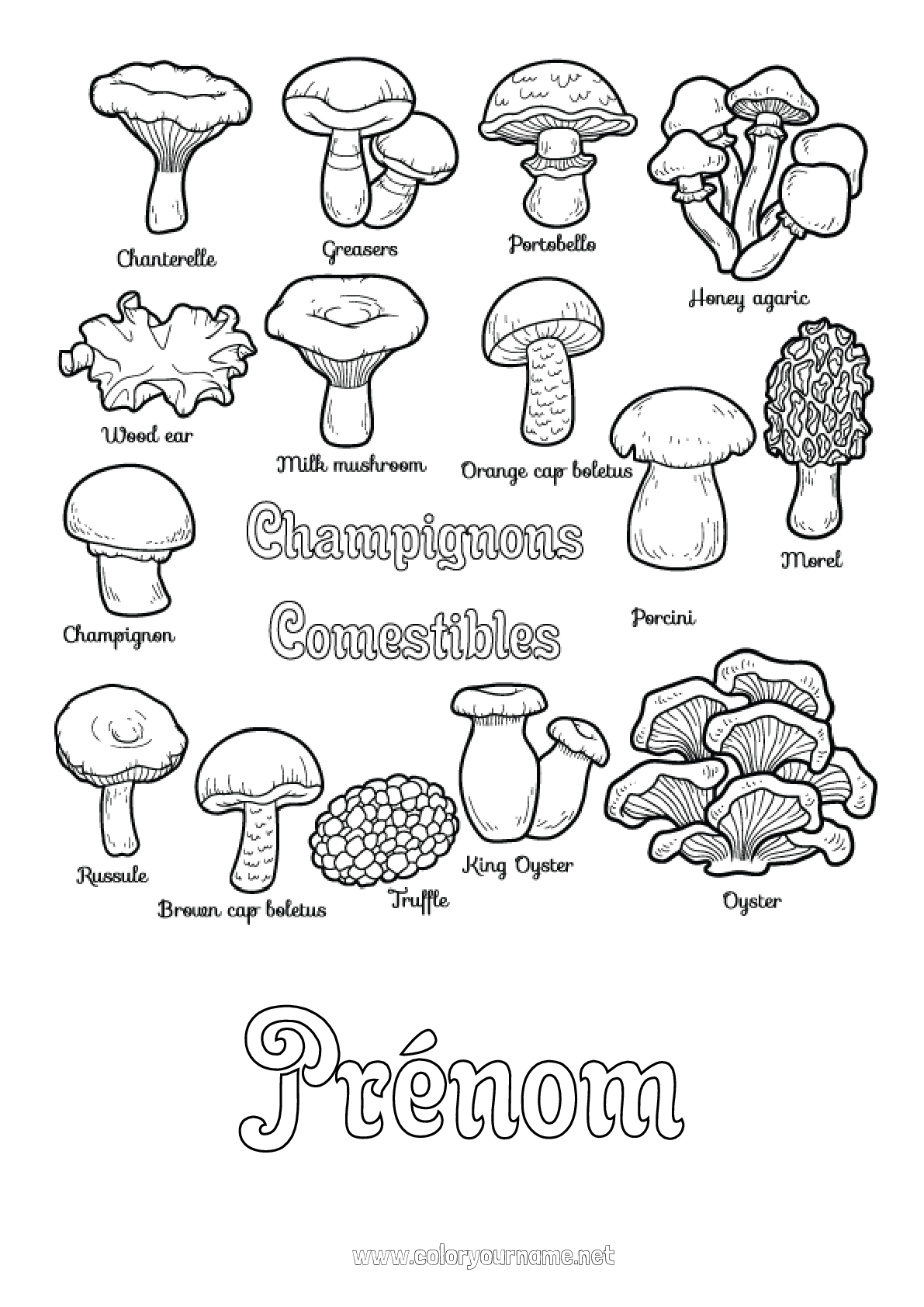 Coloriage n°3105 - Activités enfants Champignon