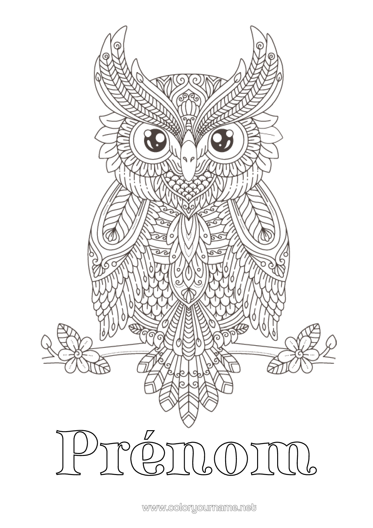 Hibou Chouette Edwina Kleurplaten Namee Malbuch Adulte Yoshi Frisch ...