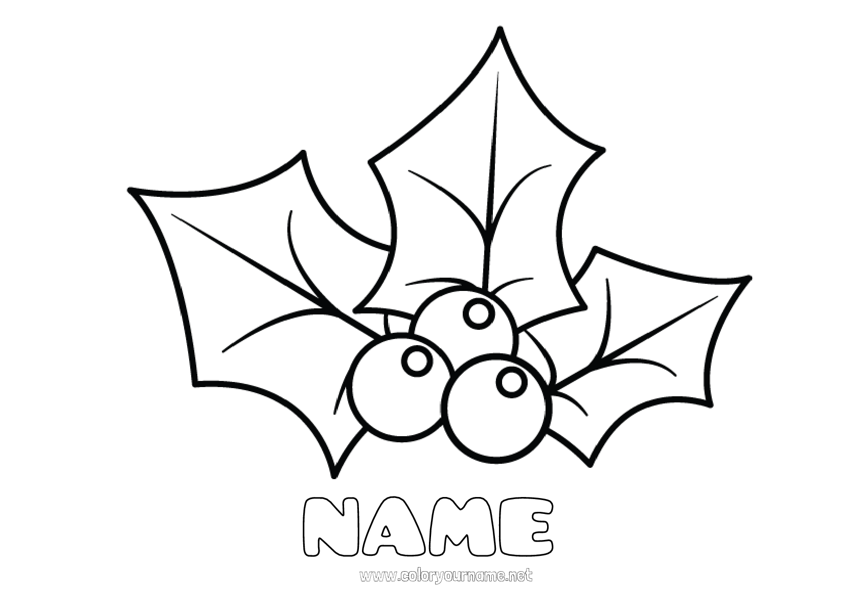 Coloring page No.3429 - Holly Easy coloring pages