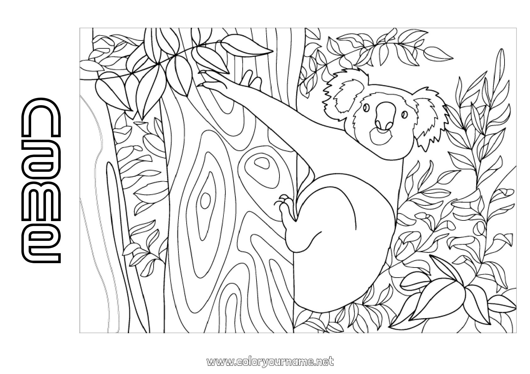 Coloring page No.3551 - Animal Koala Australia