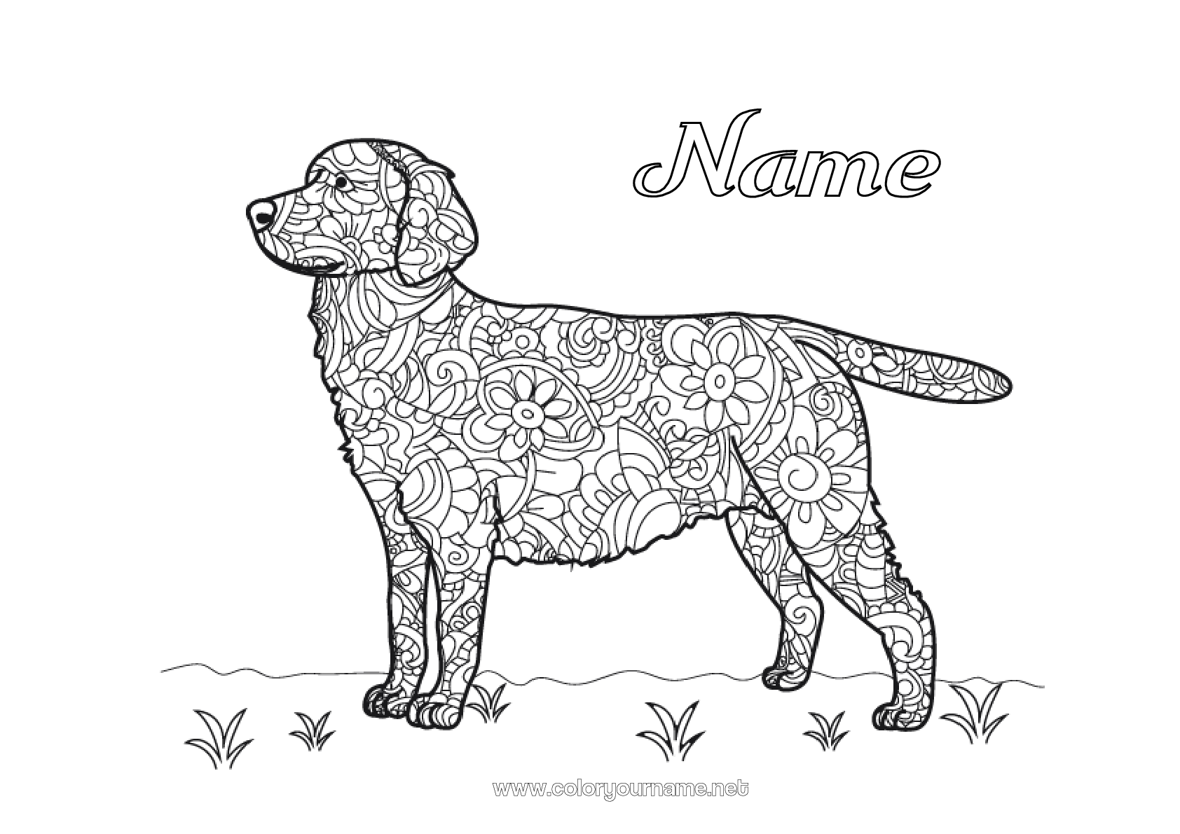 Coloring page No.3944 - Dog Animal Complex coloring pages