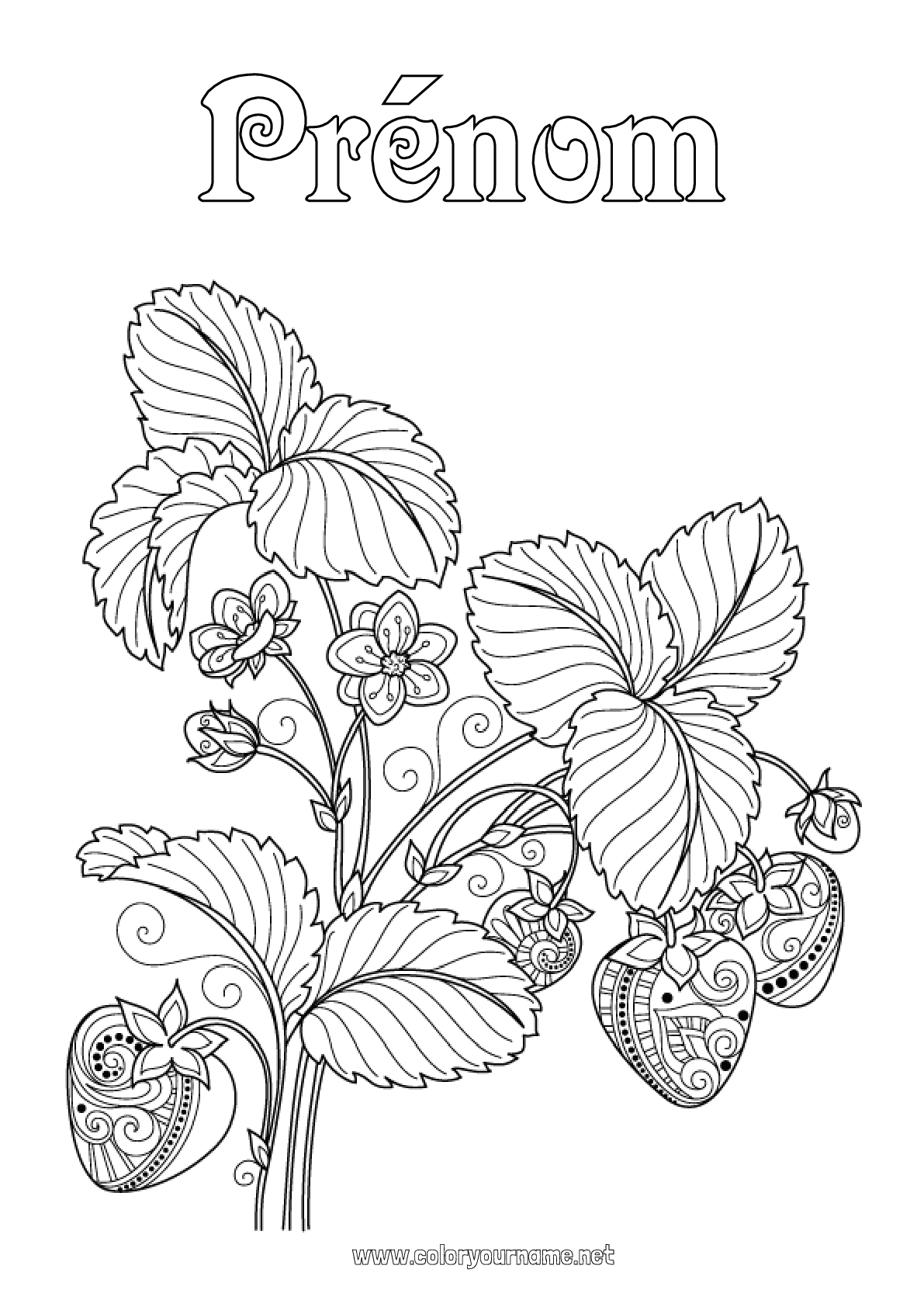 Coloriage n°3992 - Fruits Coloriages complexes Fraise