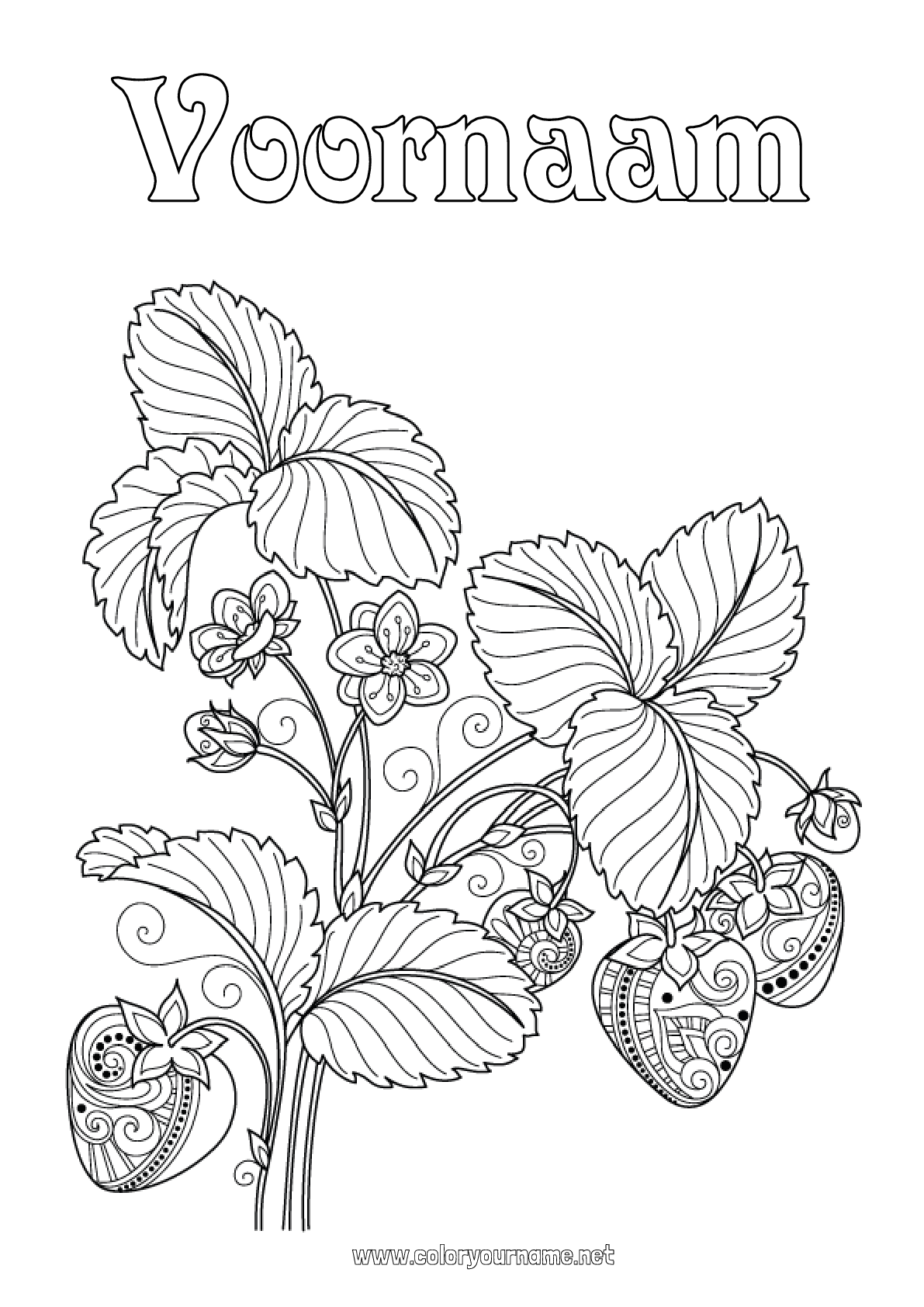 Kleurplaat nr.3992 - Fruit Complex Kleurplaten Aardbei