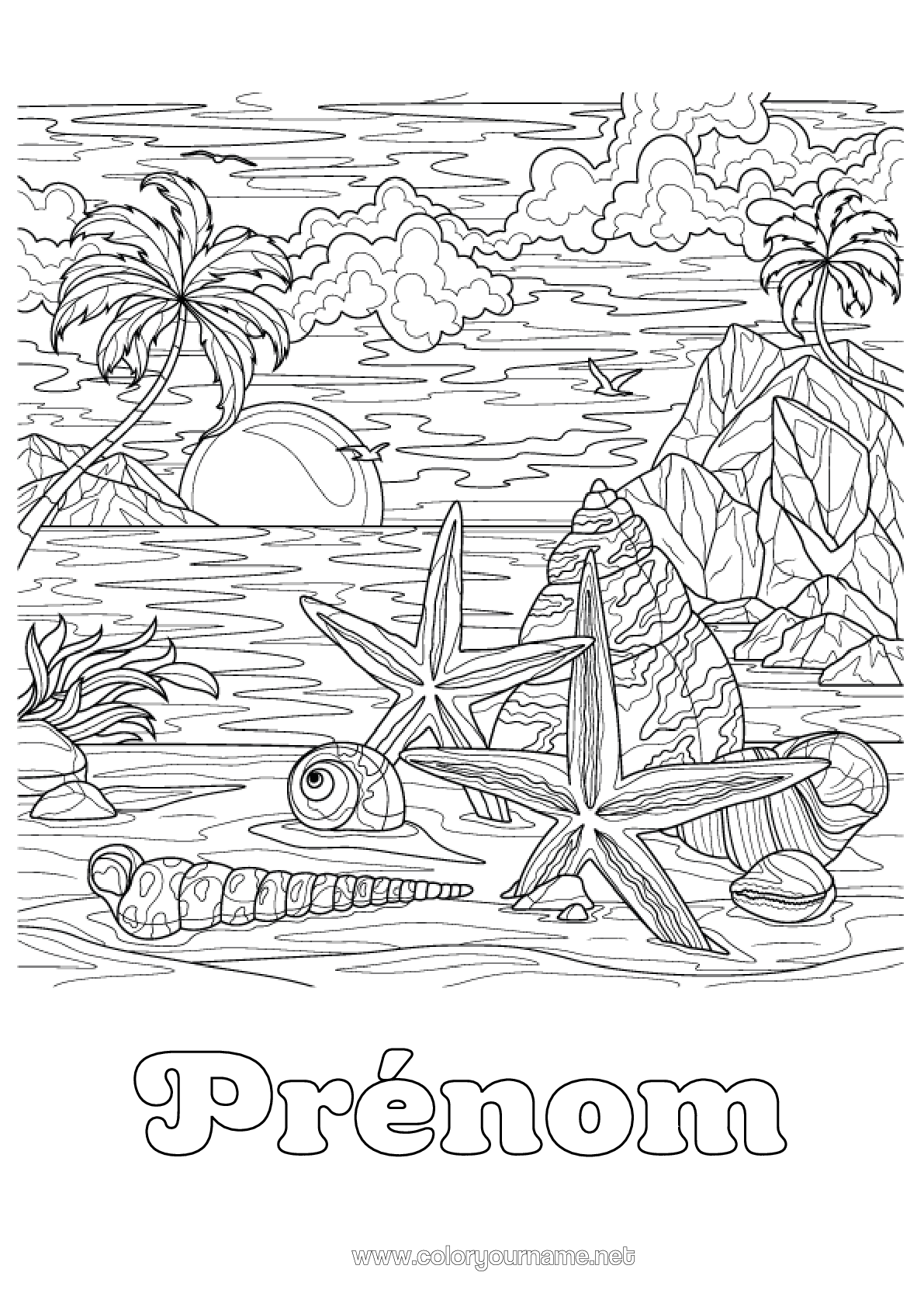 Coloriage n°4158 - Calme et zen Été Plage