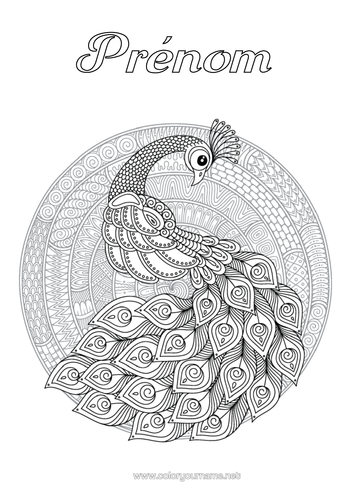 Coloriage n°4194 - Mandala Animal Paon