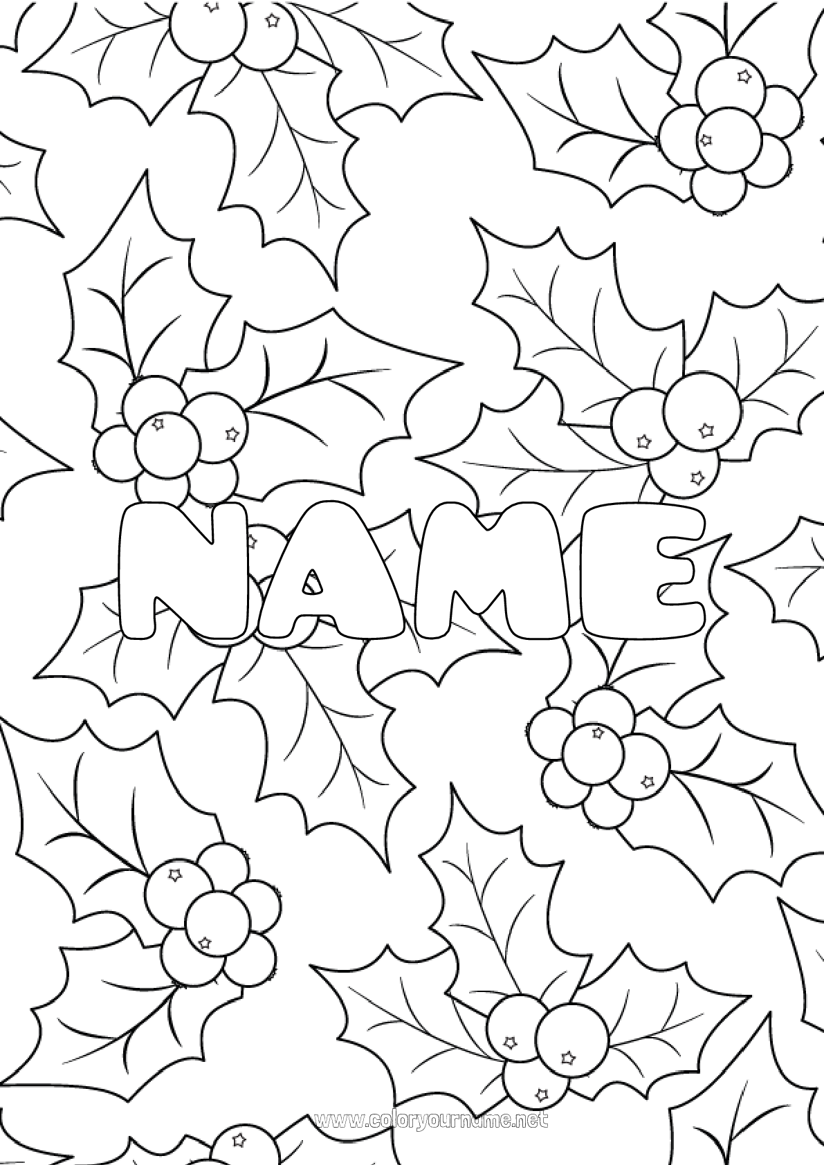 Coloring page No.562 - Winter Holly