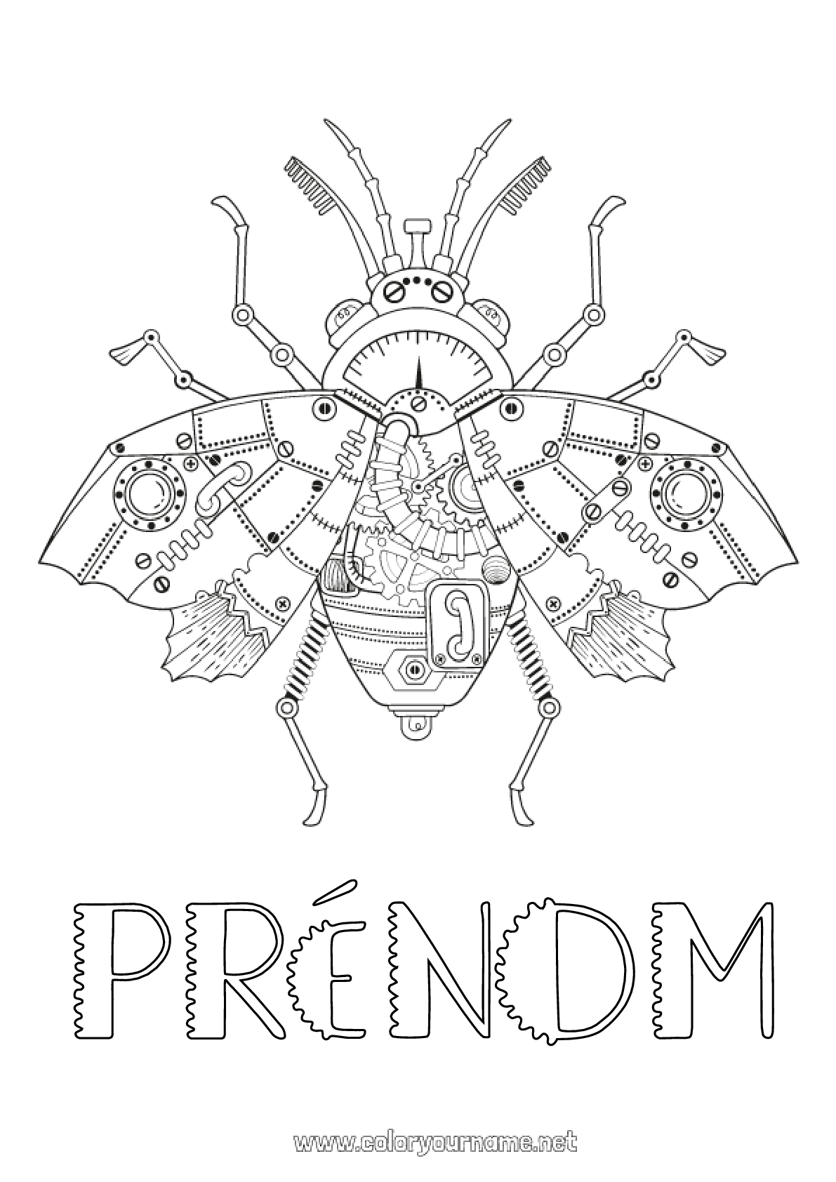 Coloriage n°901 - Animal Mouche Coloriages complexes