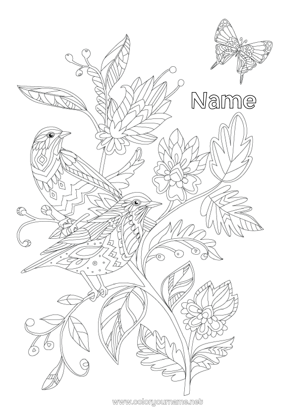 Coloring Pages Of Flowers And Birds