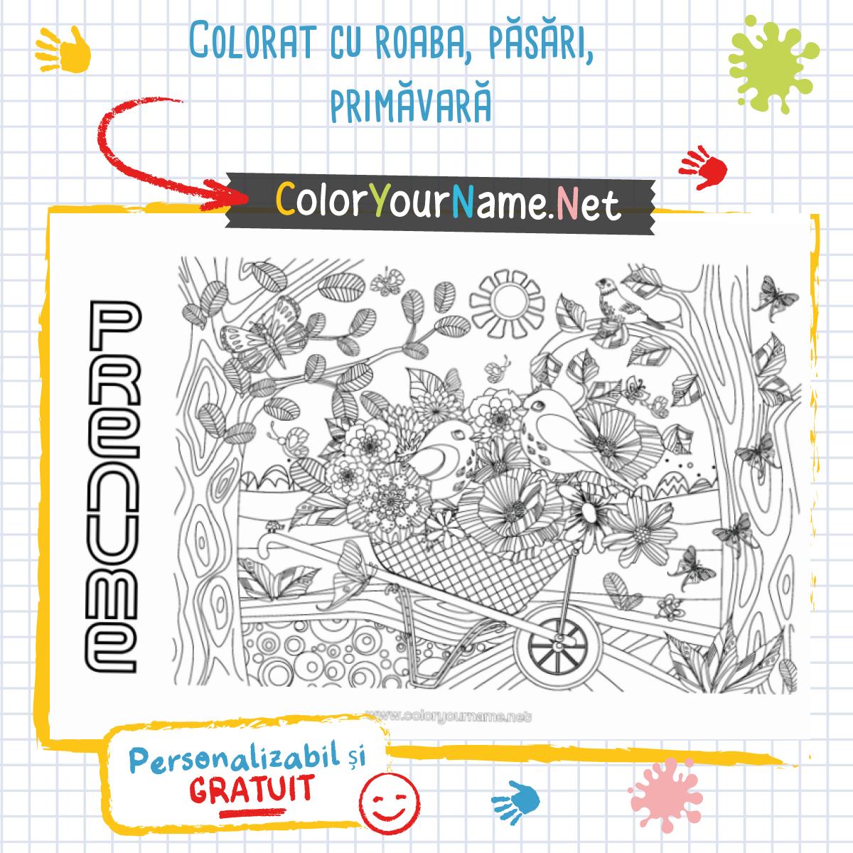 Colorat cu roaba, păsări, primăvară
