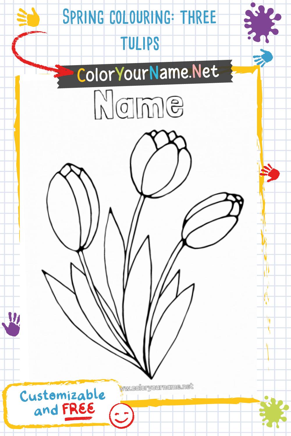 Spring colouring: three tulips