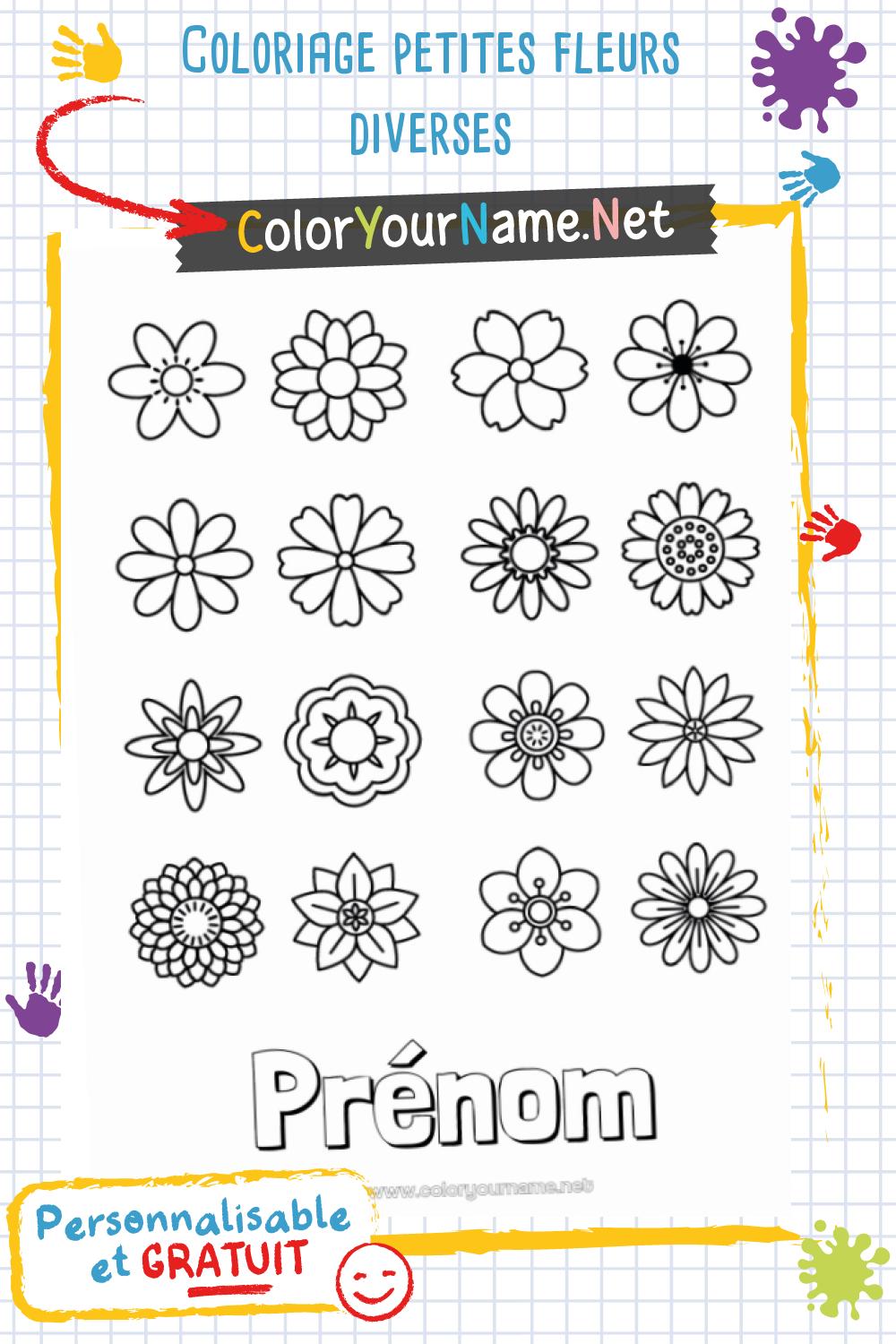 Coloriage petites fleurs diverses