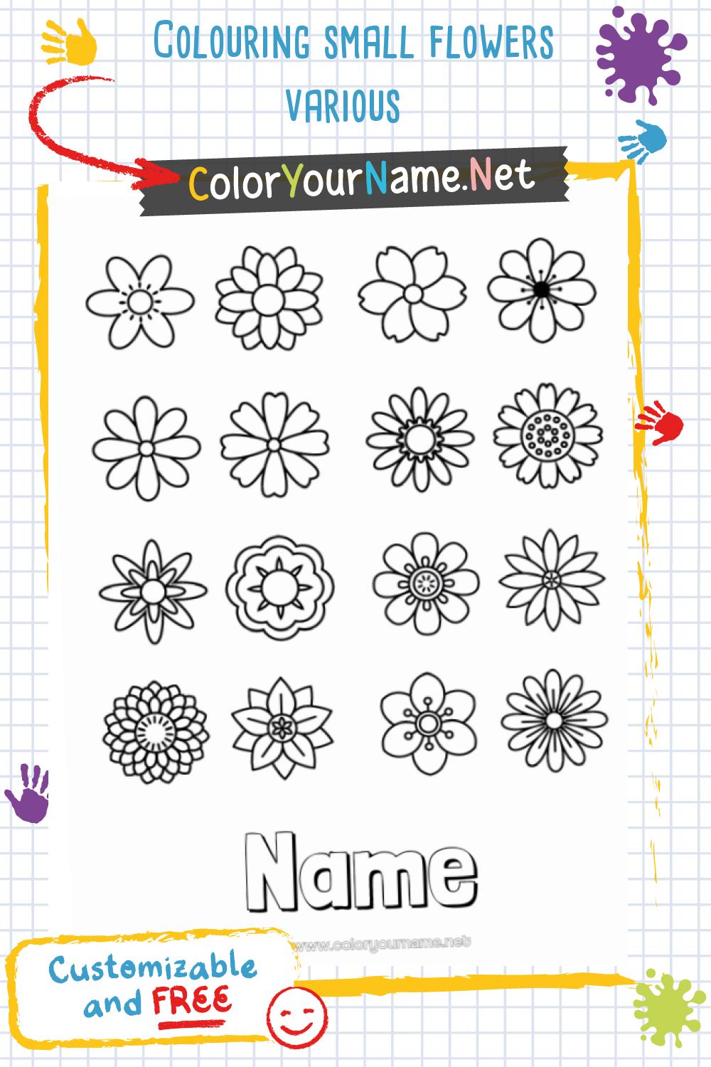 Colouring small flowers various