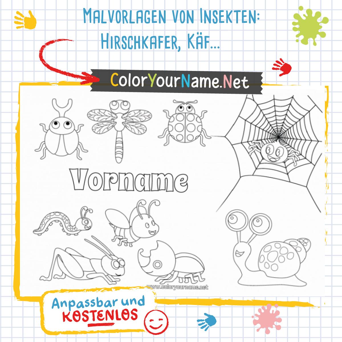 Malvorlagen von Insekten: Hirschkafer, Käfer, Libelle, Heuschrecke ...