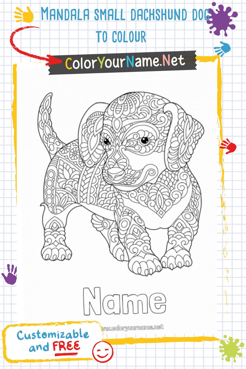Mandala small dachshund dog to colour