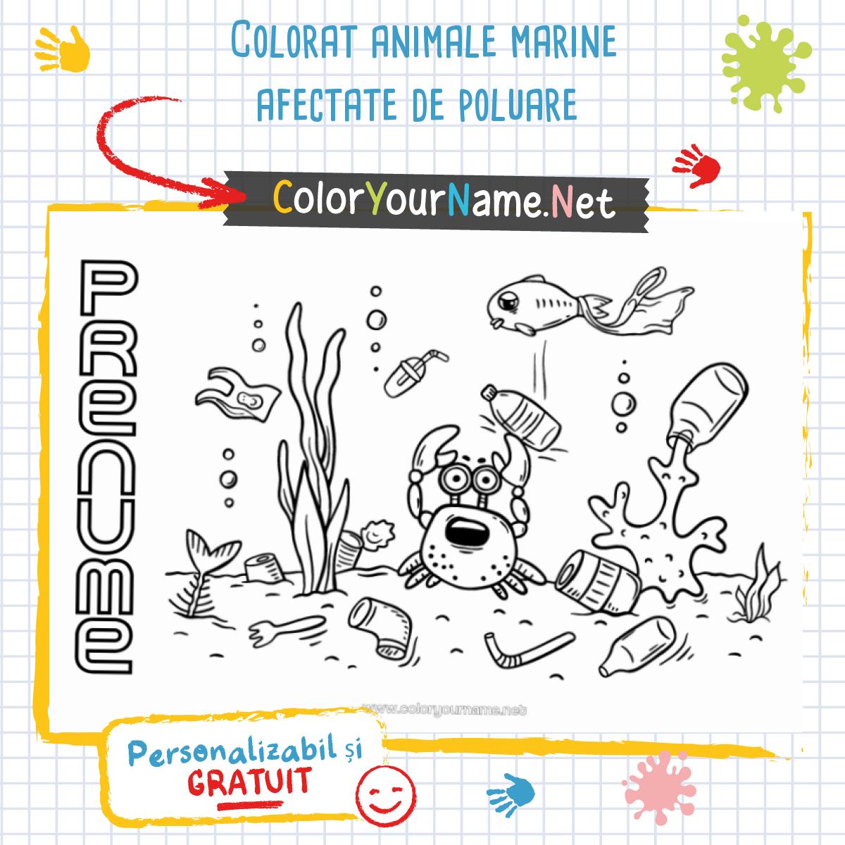 Colorat animale marine afectate de poluare