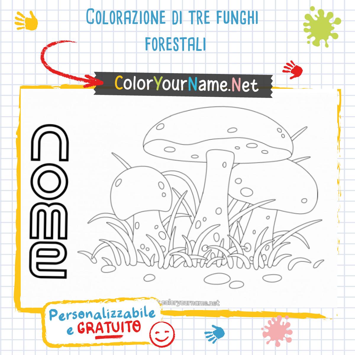 Colorazione di tre funghi forestali