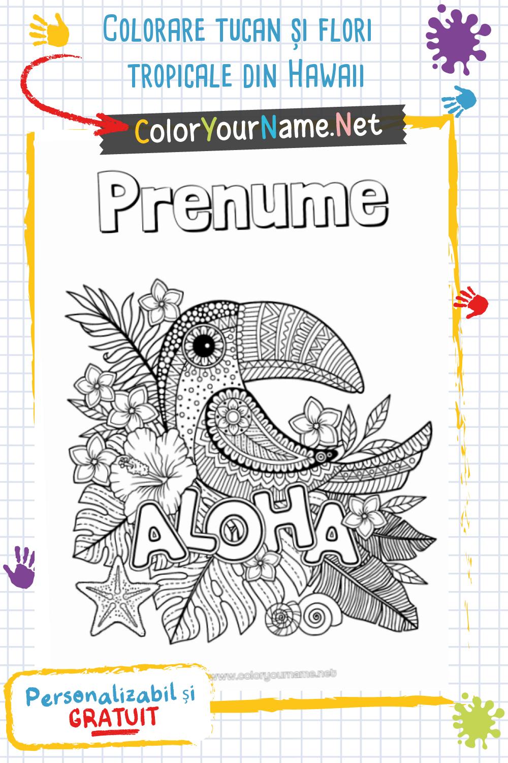 Colorare tucan și flori tropicale din Hawaii