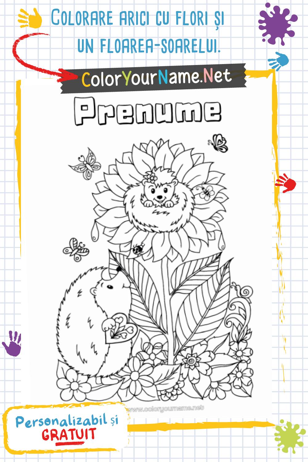 Colorare arici cu flori și un floarea-soarelui.