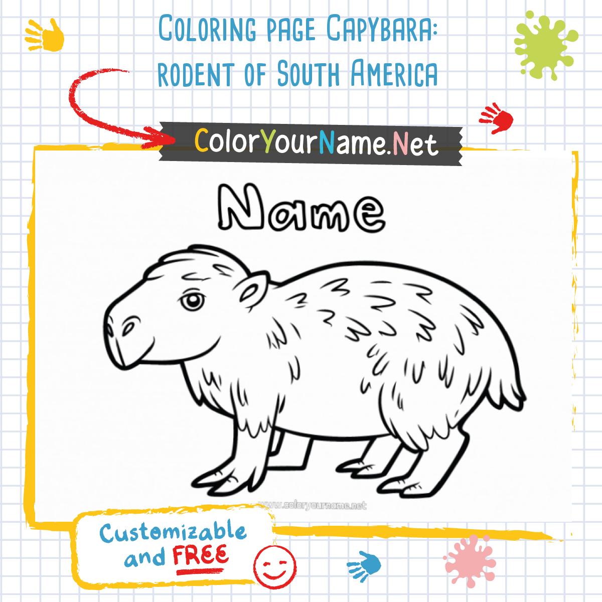 Coloring page Capybara: rodent of South America