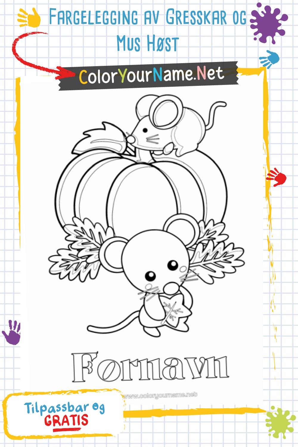 Fargelegging av Gresskar og Mus Høst