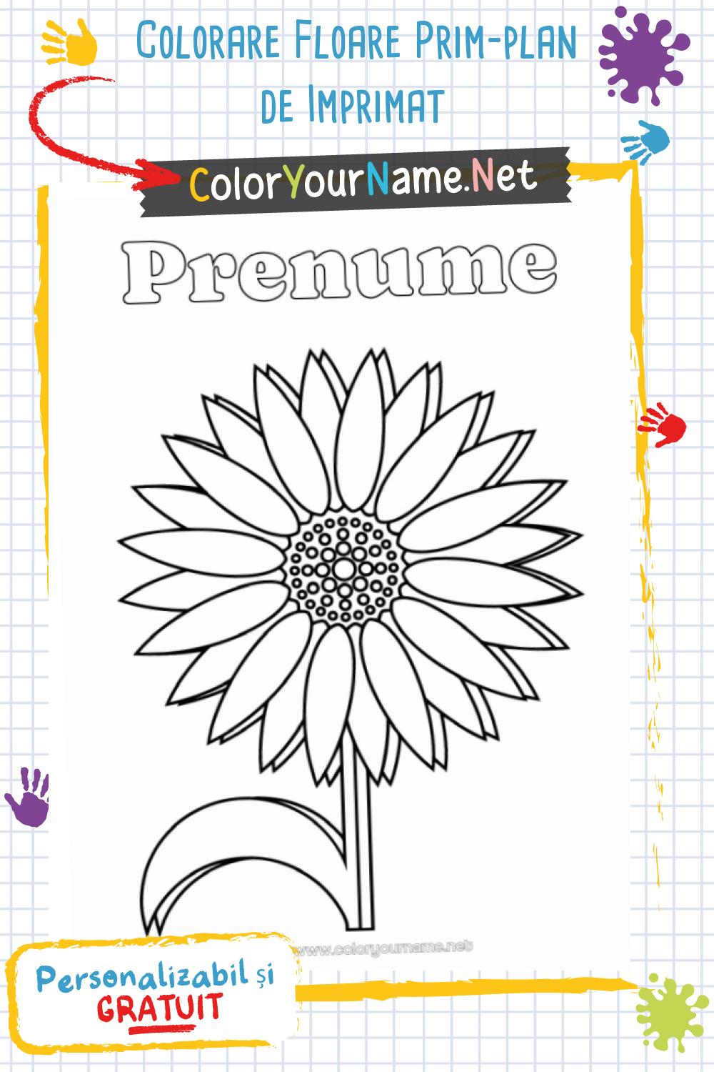 Colorare Floare Prim-plan de Imprimat