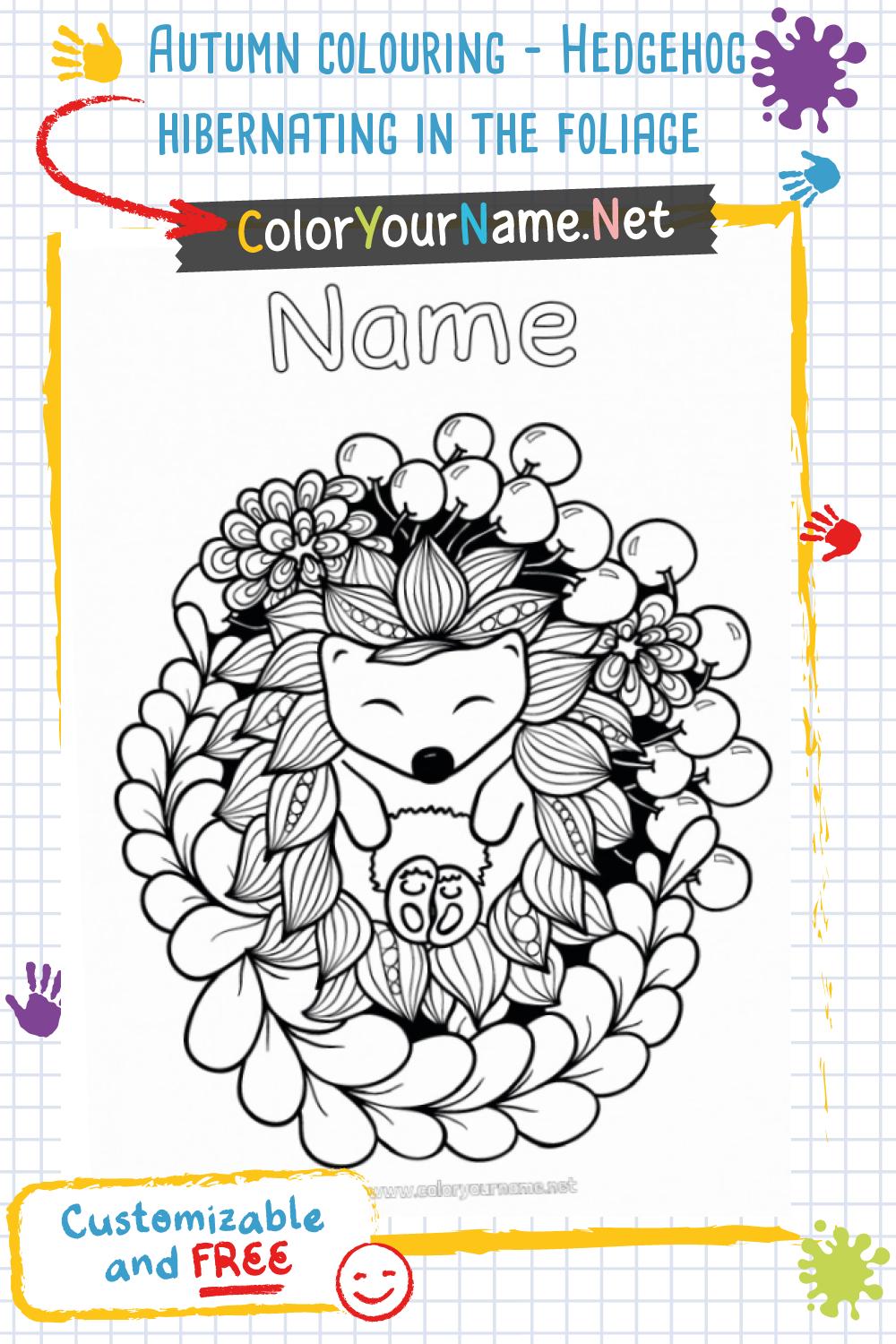 Autumn colouring - Hedgehog hibernating in the foliage