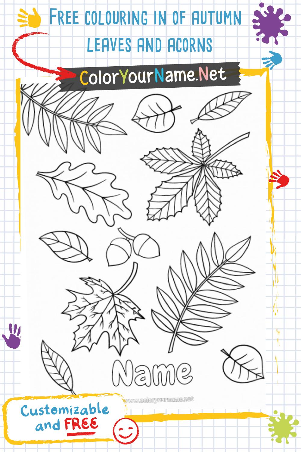 Free colouring in of autumn leaves and acorns