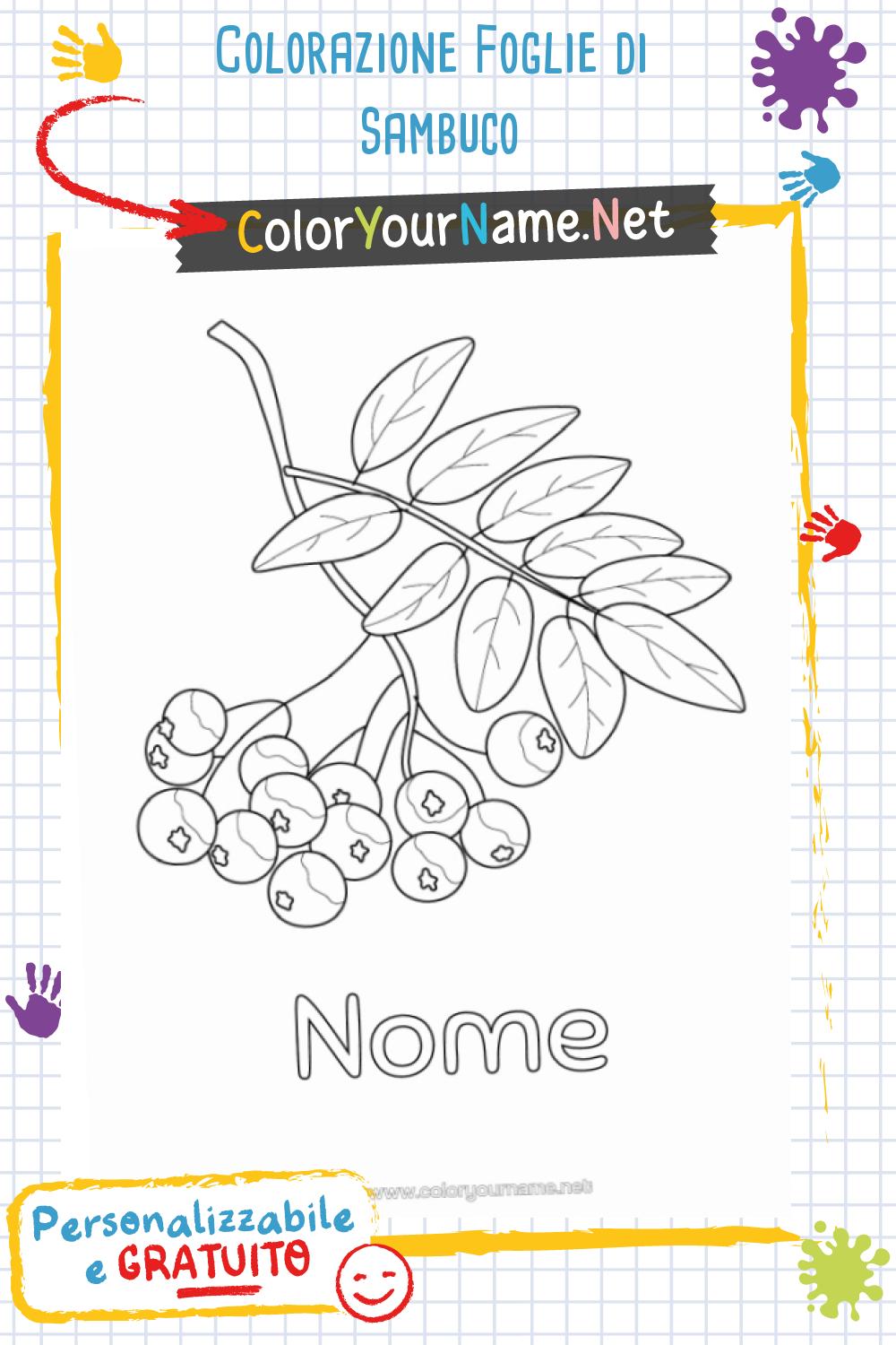 Colorazione Foglie di Sambuco