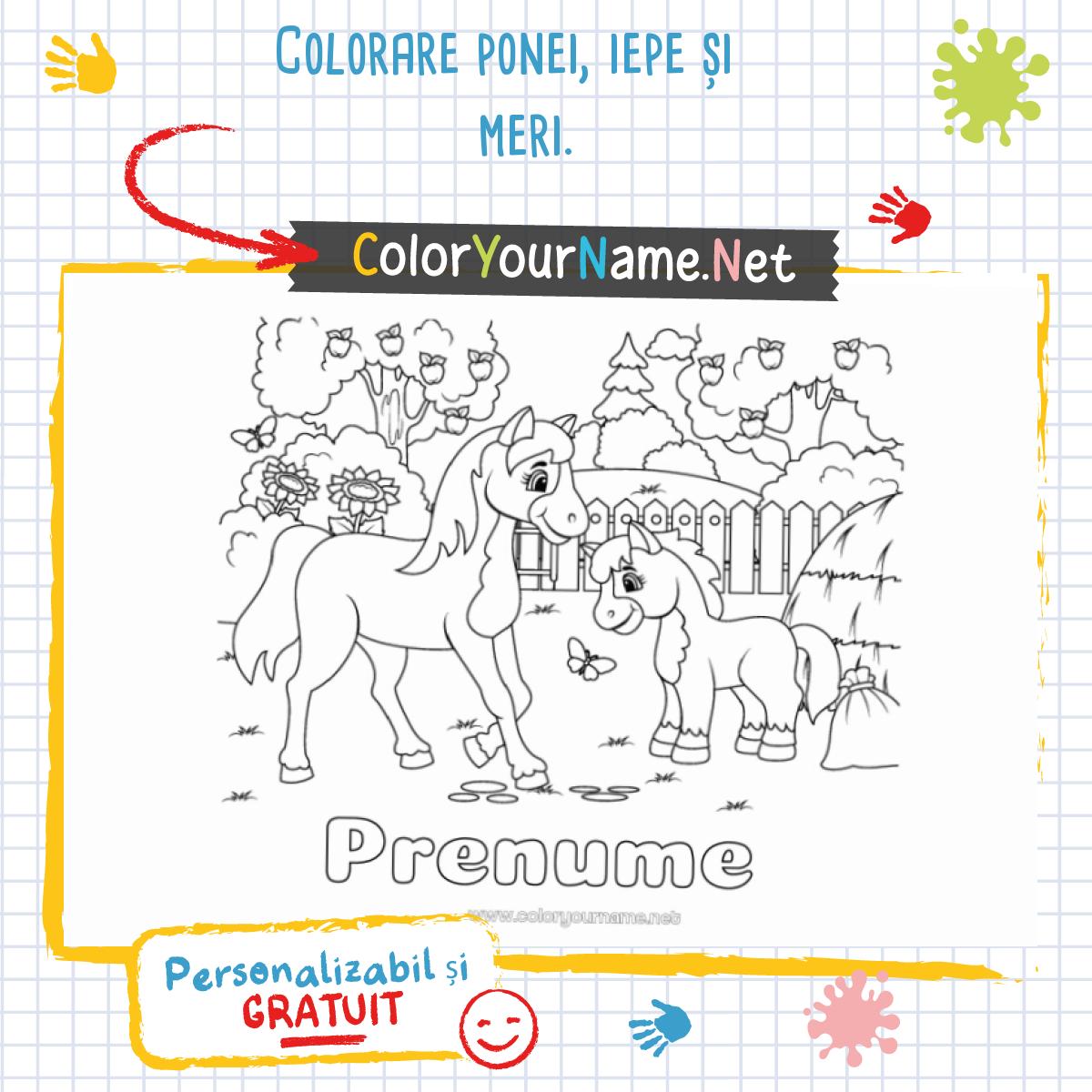 Colorare ponei, iepe și meri.