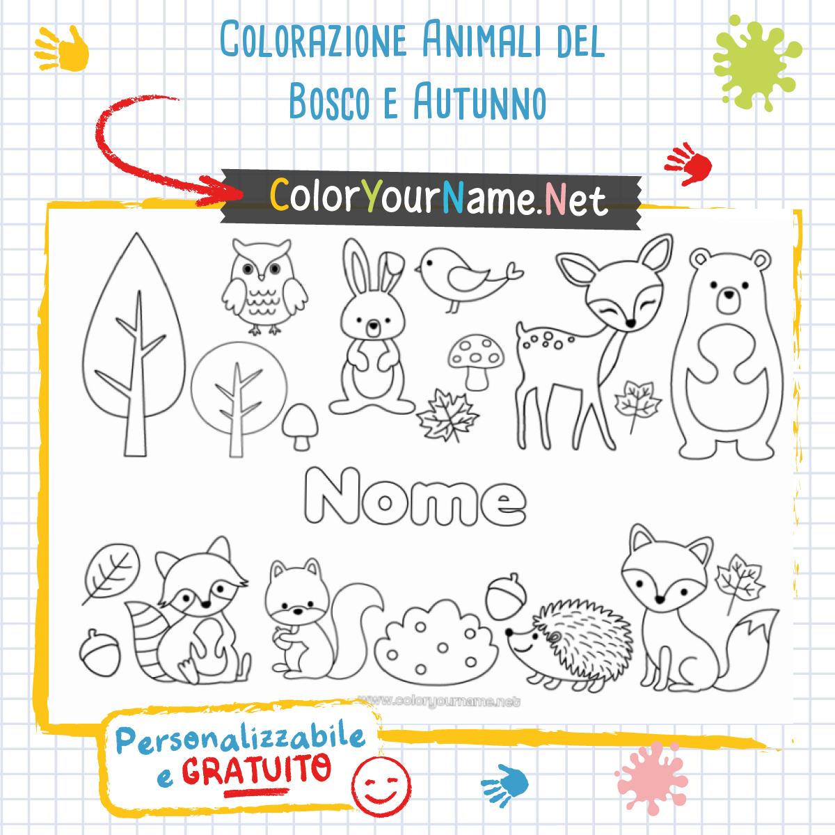 Colorazione Animali del Bosco e Autunno