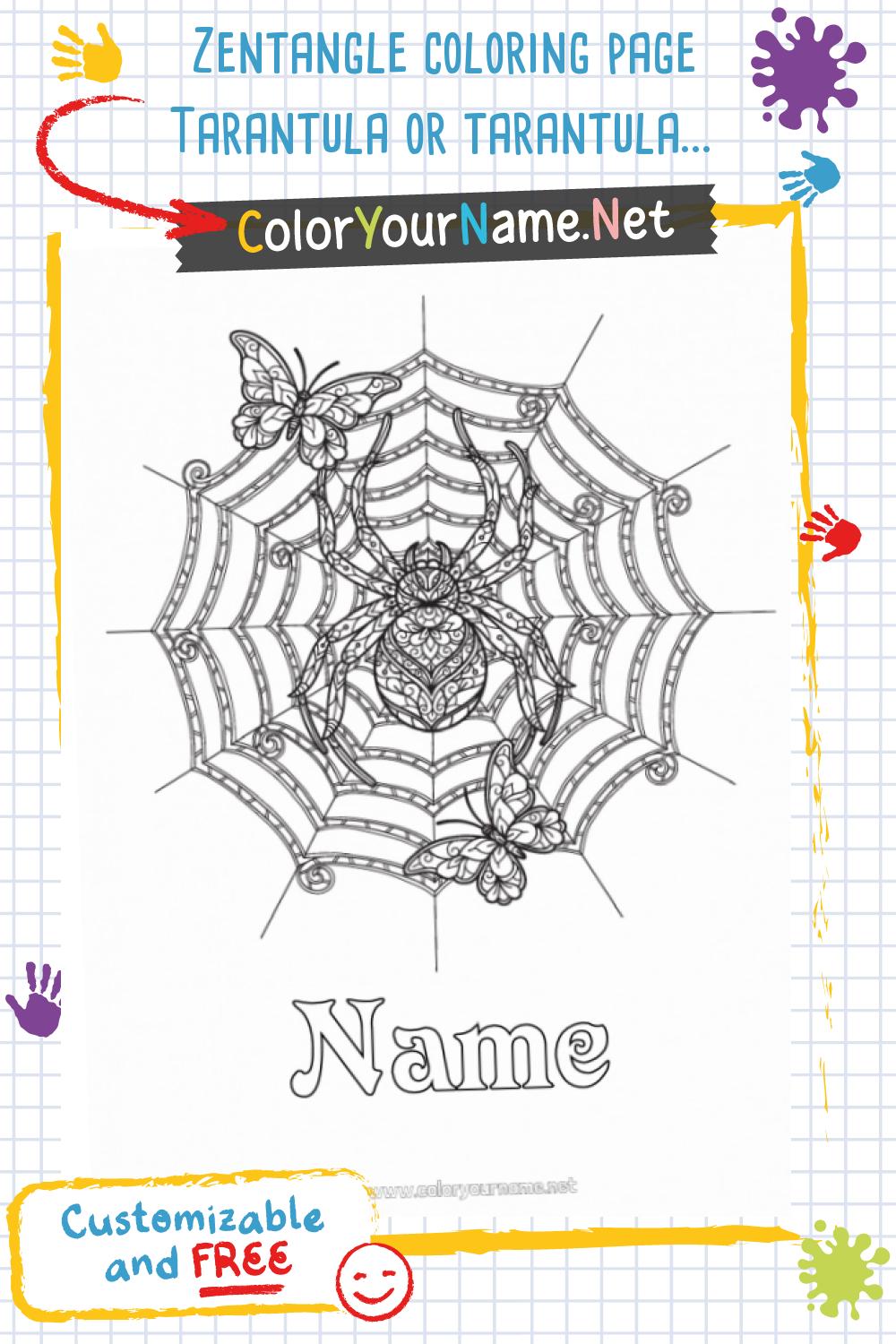 Zentangle coloring page Tarantula or tarantula in its web